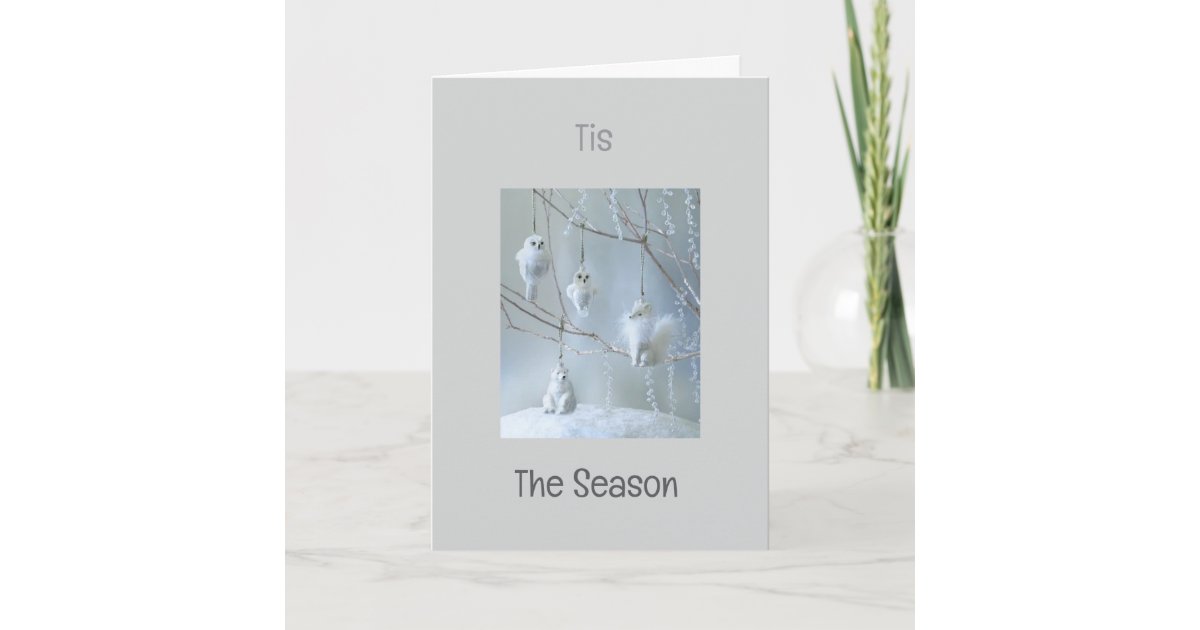 *TIS THE SEASON* SECULAR CHRISTMAS CARD | Zazzle