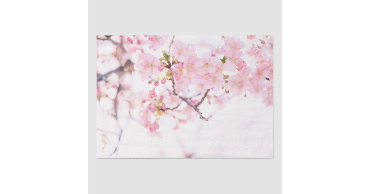 TISSUE PAPER: CHERRY BLOSSOMS TISSUE PAPER | Zazzle