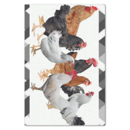 Tissue Paper Chicken | Zazzle
