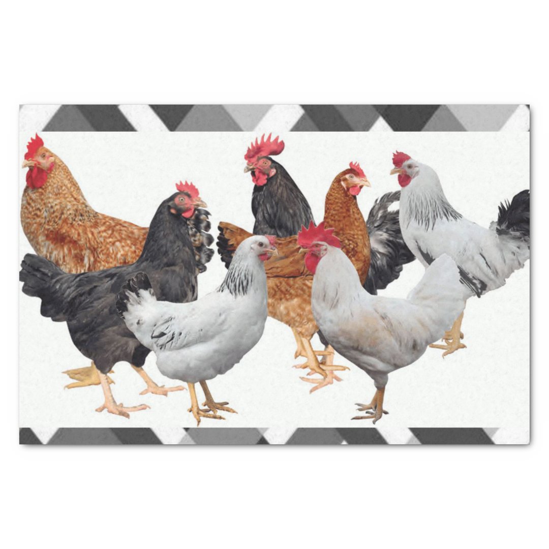 Tissue Paper Chicken | Zazzle
