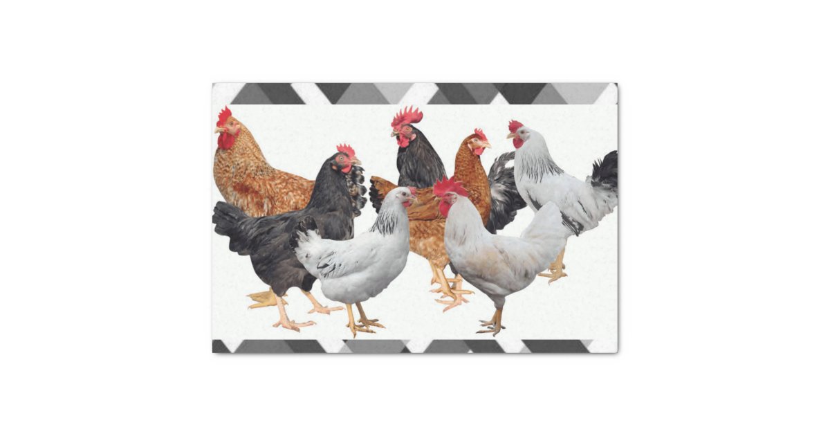 Tissue Paper Chicken | Zazzle