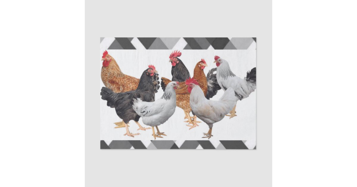 Tissue Paper Chicken | Zazzle