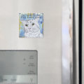 TNR Trap, Neuter, Return Saves Lives Magnet | Zazzle