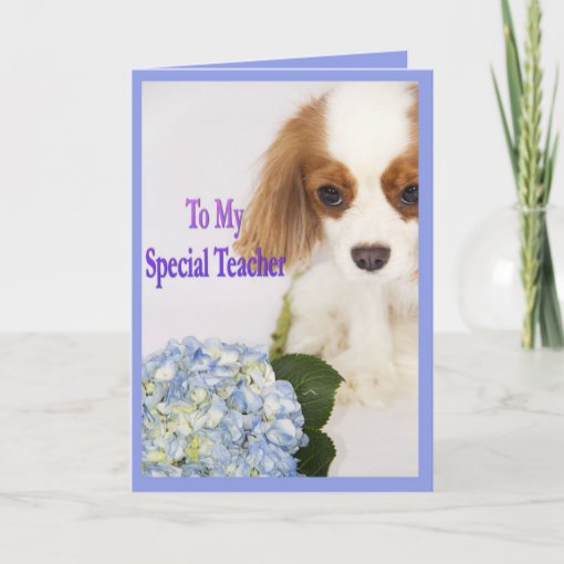 To My Special Teacher Thank You Doggie Card | Zazzle