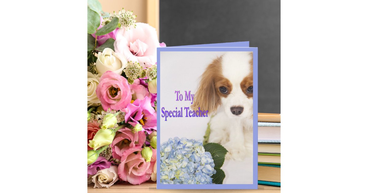 To My Special Teacher Thank You Doggie Card | Zazzle