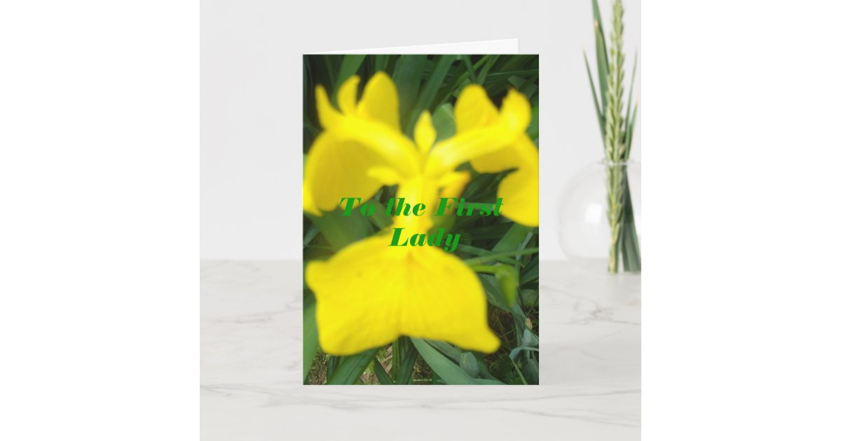 To The First Lady Thank You Card | Zazzle