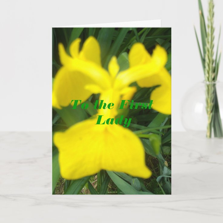 To The First Lady Thank You Card | Zazzle