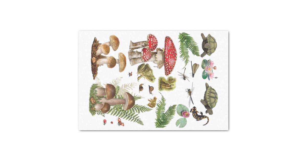 Toadstool decoupage paper woodland elements | Zazzle