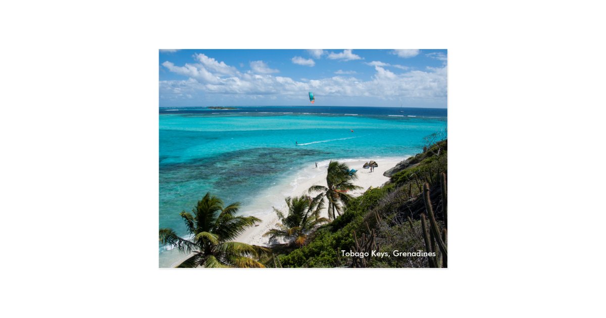 Tobago Keys, Grenadines Postcard | Zazzle.com