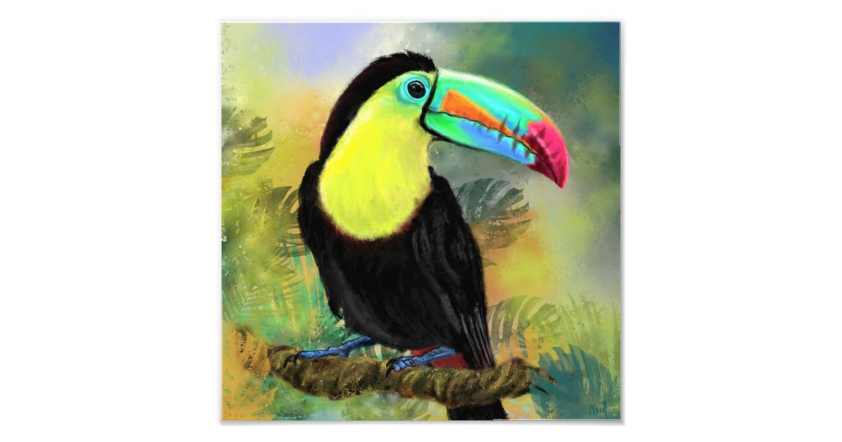 Toco Toucan Bird Painting Poster Print | Zazzle