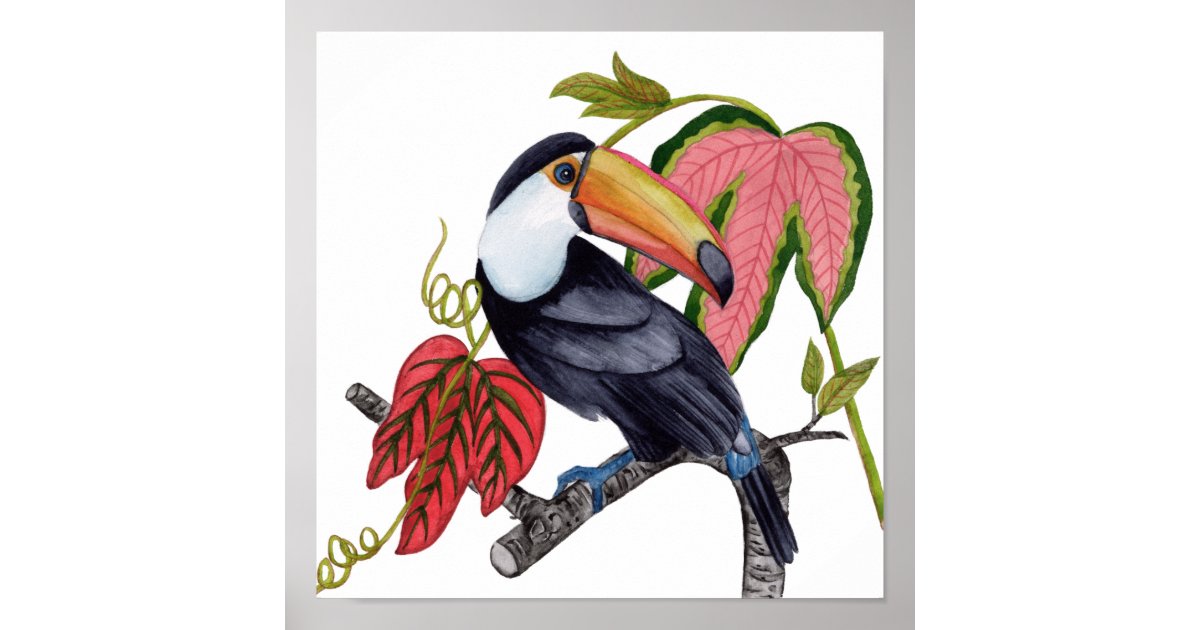 Toco Toucan Poster | Zazzle