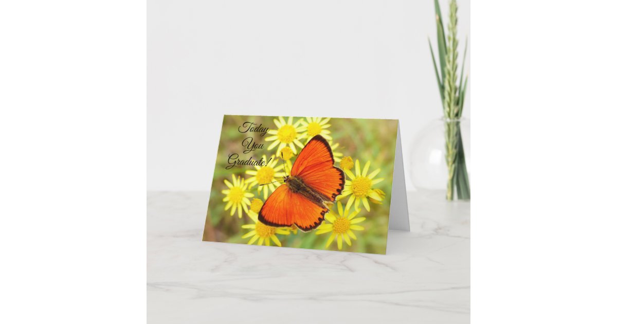 Today You Graduate Butterfly Card | Zazzle