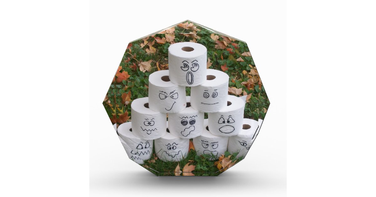 Toilet Paper Pyramid Award | Zazzle
