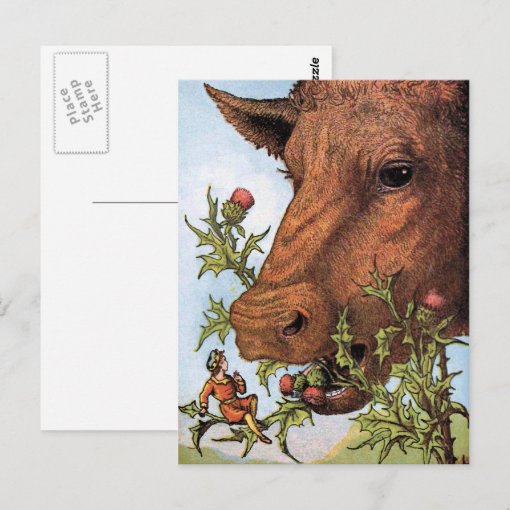 "Tom Thumb and the Cow" Illustration Postcard | Zazzle