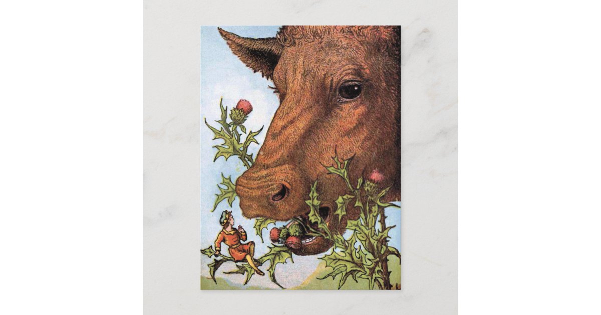 "Tom Thumb and the Cow" Illustration Postcard | Zazzle