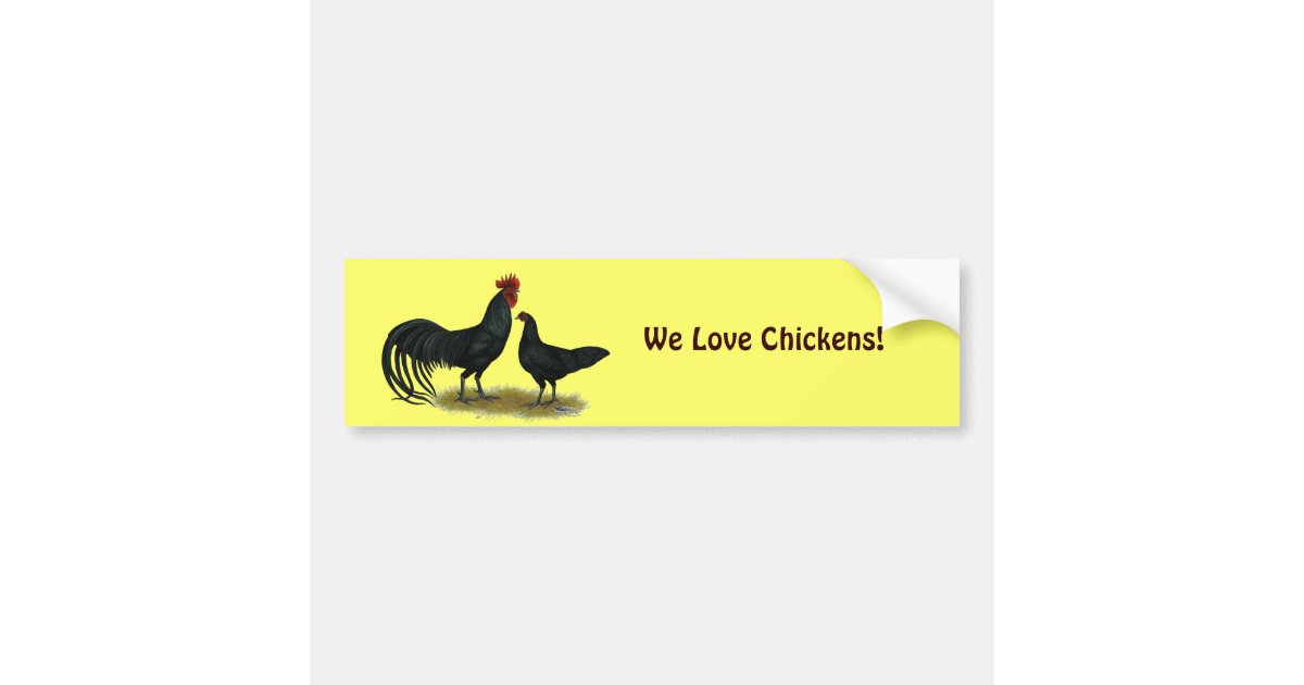 Tomaru Long Crower Chickens Bumper Sticker | Zazzle