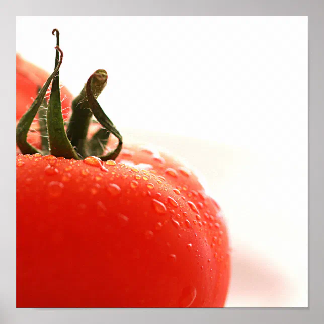 Tomato Close Up Poster | Zazzle