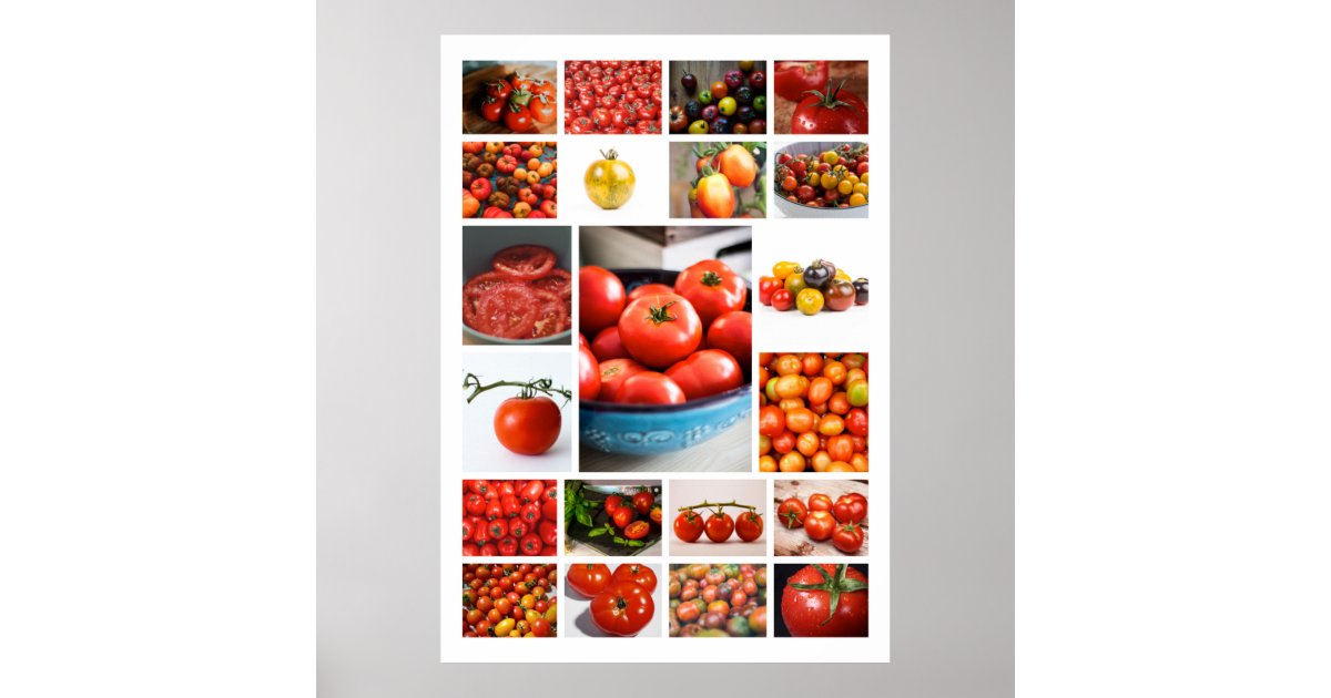 TOMATO Collage Poster | Zazzle