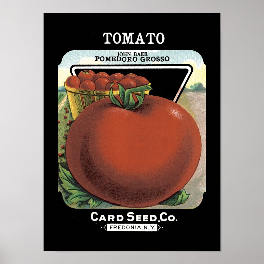 Tomato Vintage Seed Packet Poster | Zazzle