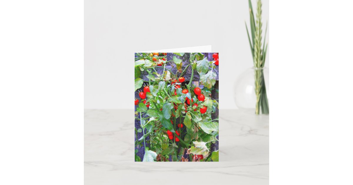 Tomatoes Card | Zazzle