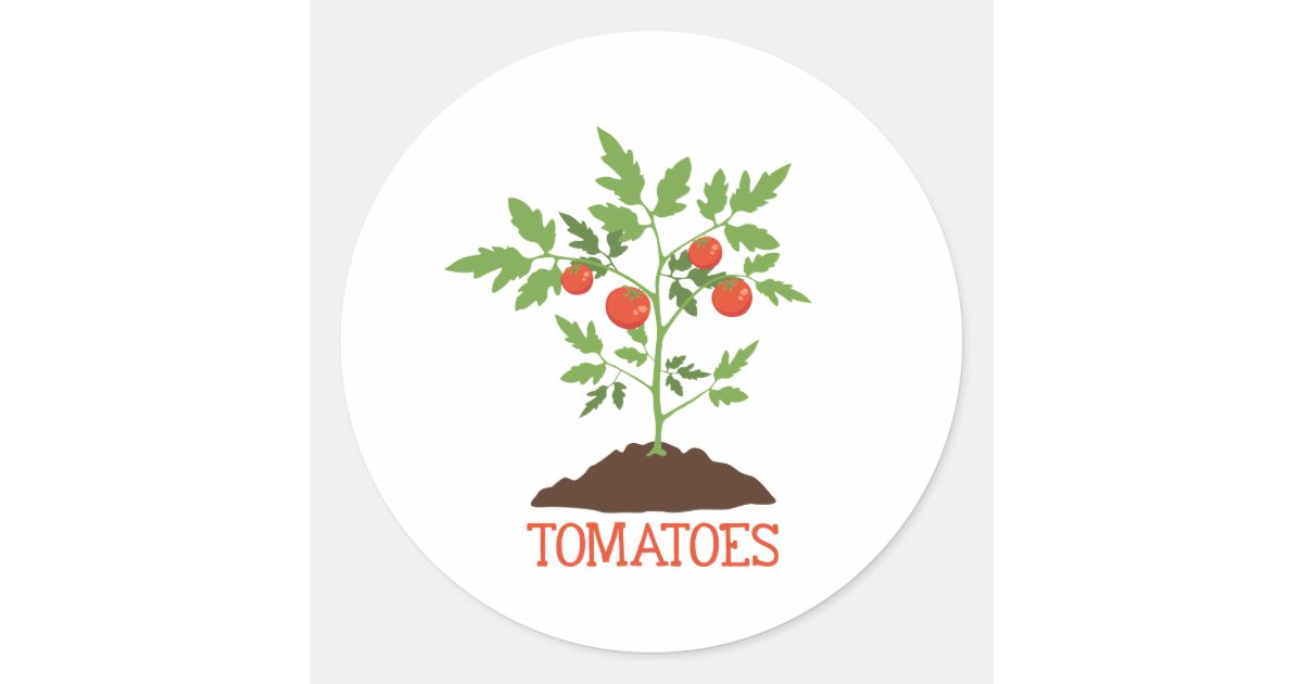 Tomatoes Classic Round Sticker | Zazzle
