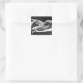 Tomb of Catherine de Medici and Henri II Square Sticker | Zazzle