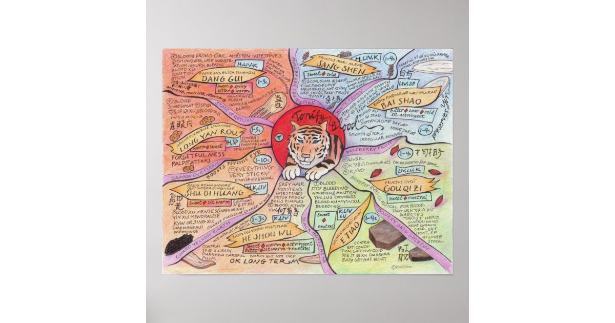Tonify Blood Poster | Zazzle
