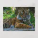 Tony Postcard | Zazzle