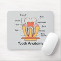 Tooth Anatomy Chart Mouse Pad | Zazzle