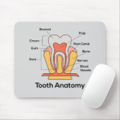 Tooth Anatomy Chart Mouse Pad | Zazzle
