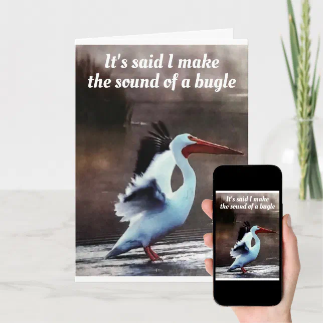 **TOOTING MY HORN** SAYS CRANE CONGRATULATIONS CARD | Zazzle