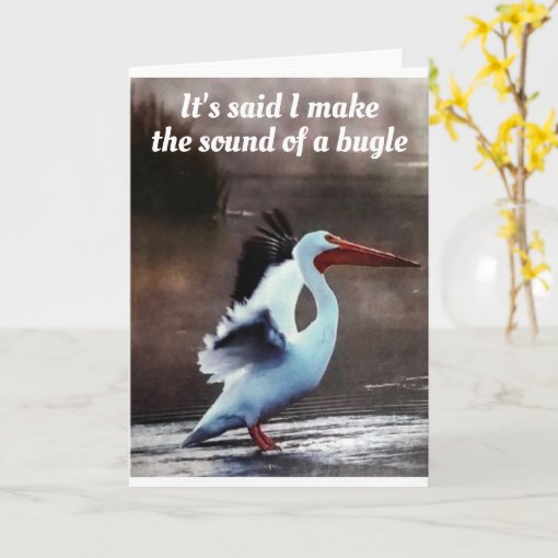 **TOOTING MY HORN** SAYS CRANE CONGRATULATIONS CARD | Zazzle