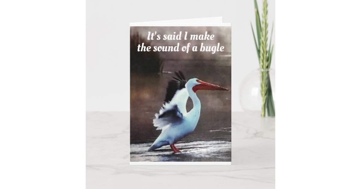 **TOOTING MY HORN** SAYS CRANE CONGRATULATIONS CARD | Zazzle