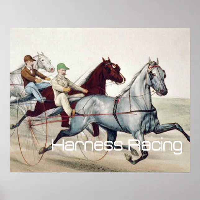 TOP Harness Racing Poster | Zazzle