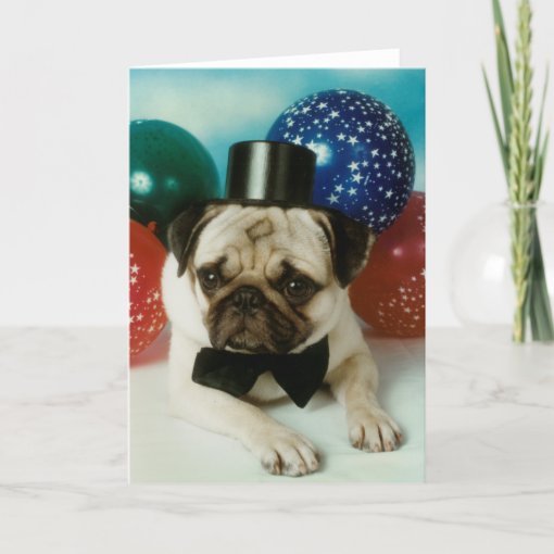 Top Hat Birthday Pug Card | Zazzle