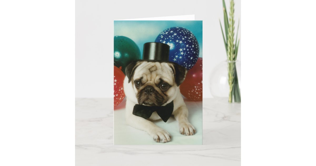 Top Hat Birthday Pug Card | Zazzle