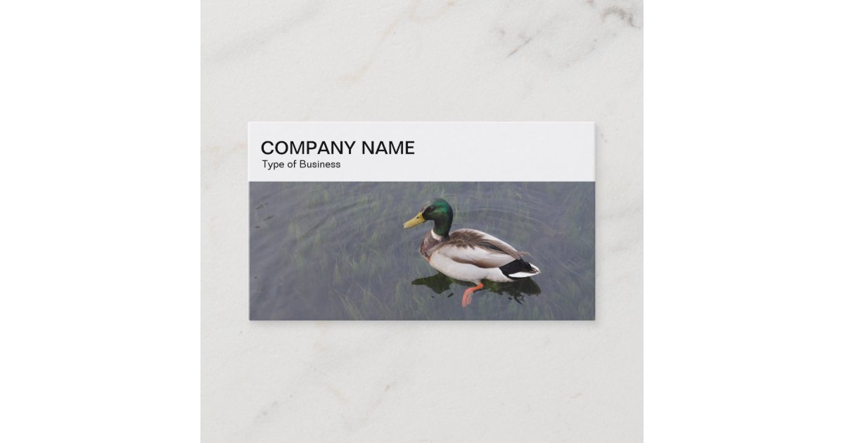 Top Panel - Mallard Duck Business Card | Zazzle