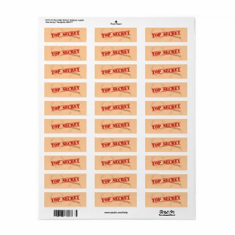 Top Secret Fun Label Stickers | Zazzle