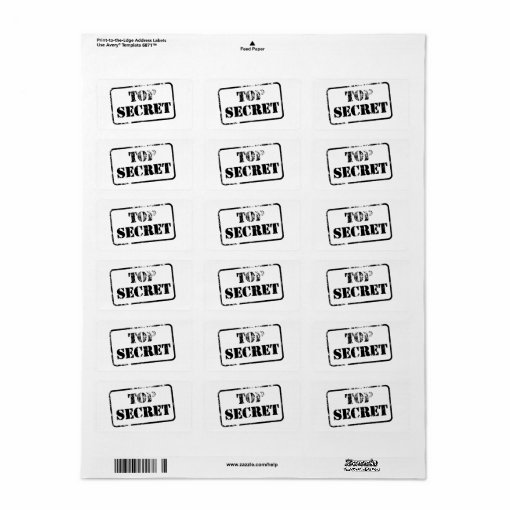 Top Secret Label | Zazzle