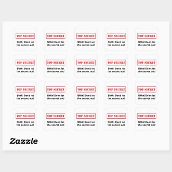 Top secret. Shhh! Dont let the secret out stickers | Zazzle