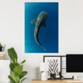 Top view of a Whale Shark Poster | Zazzle