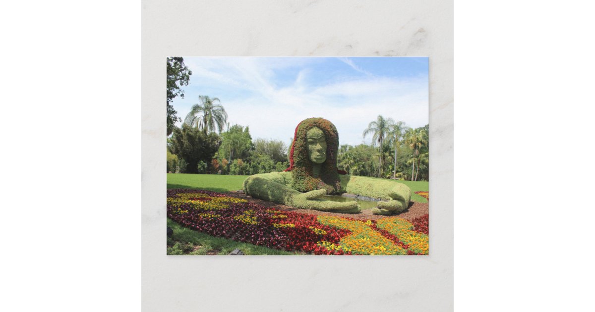 Topiary Art Postcard | Zazzle