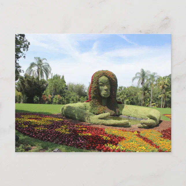 Topiary Art Postcard | Zazzle