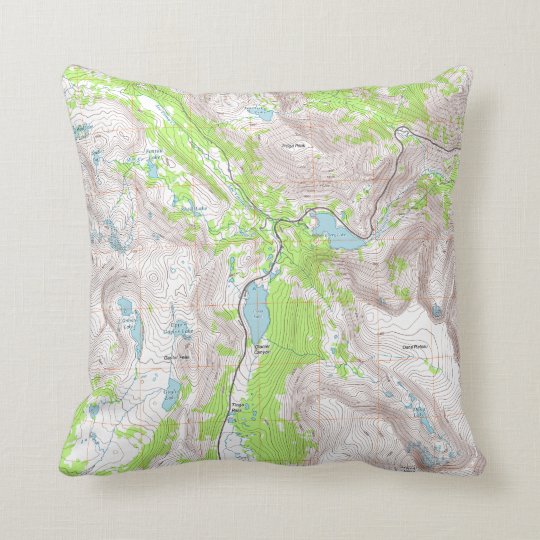 Topographic Map Throw Pillow | Zazzle.com
