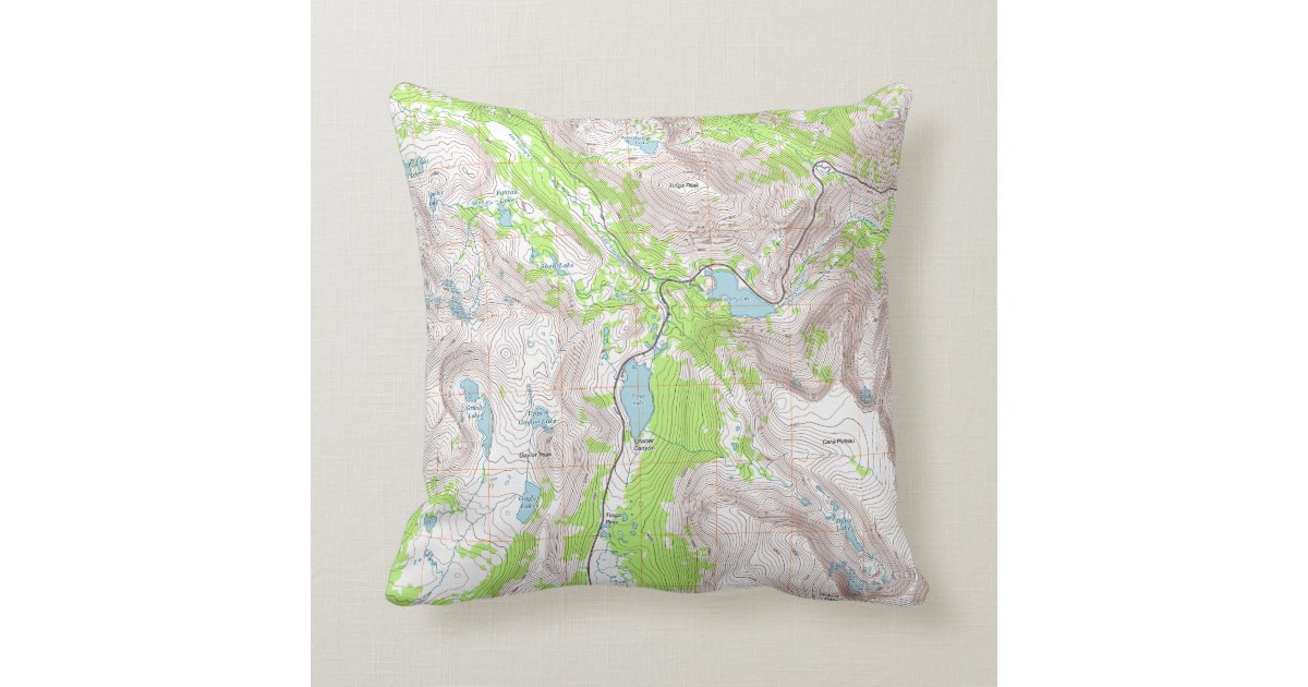Topographic Map Throw Pillow | Zazzle.com