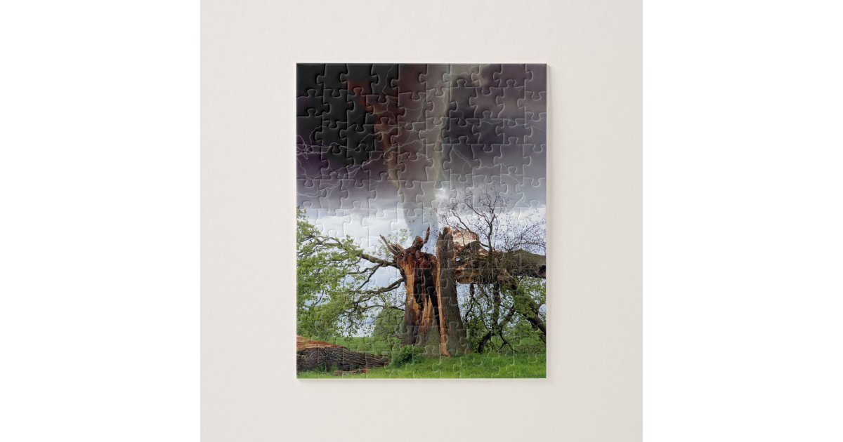 Tornado Jigsaw Puzzle | Zazzle