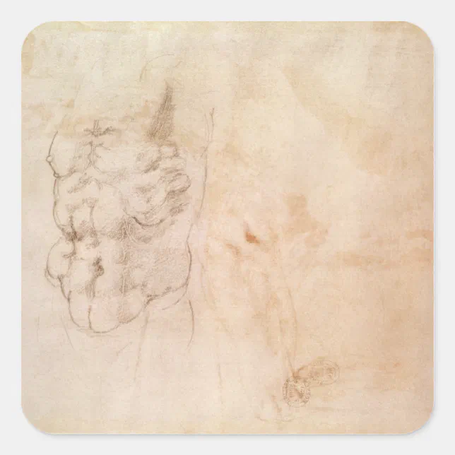 Torso Study Square Sticker | Zazzle