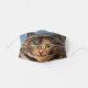 Torti Cat Face Photo Face Mask | Zazzle