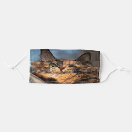Torti Cat Face Photo Face Mask | Zazzle