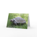 Tortoise Birthday Card | Zazzle